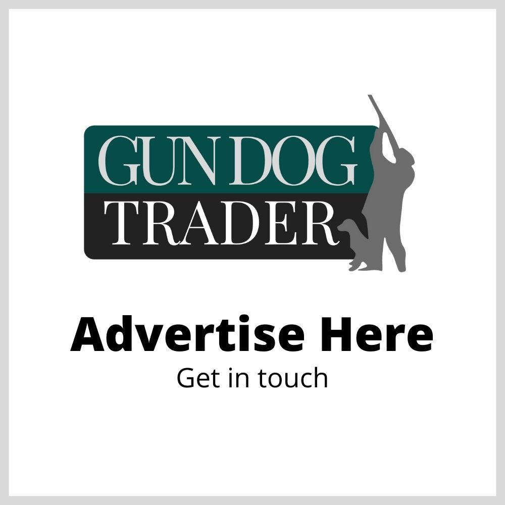Gun Dog Puppies For Sale | Gun Dog Trader