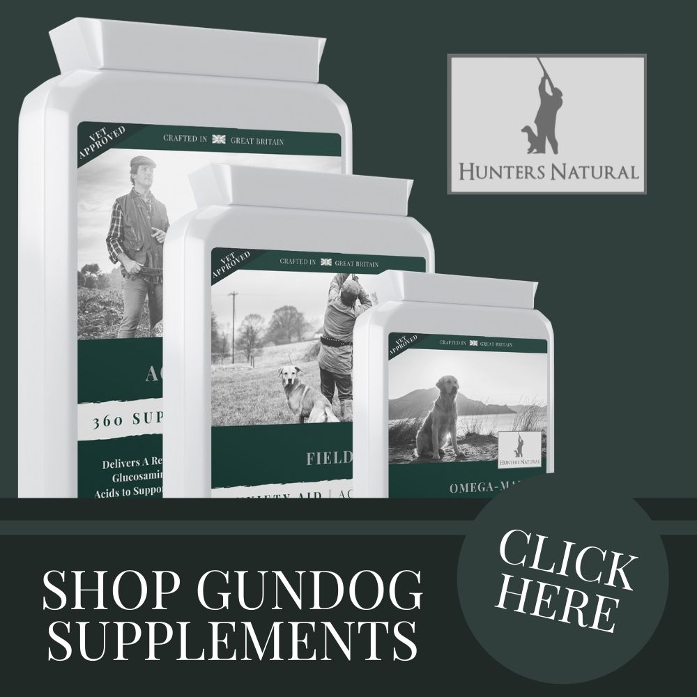 Trained Gun Dogs For Sale | Gun Dog Trader